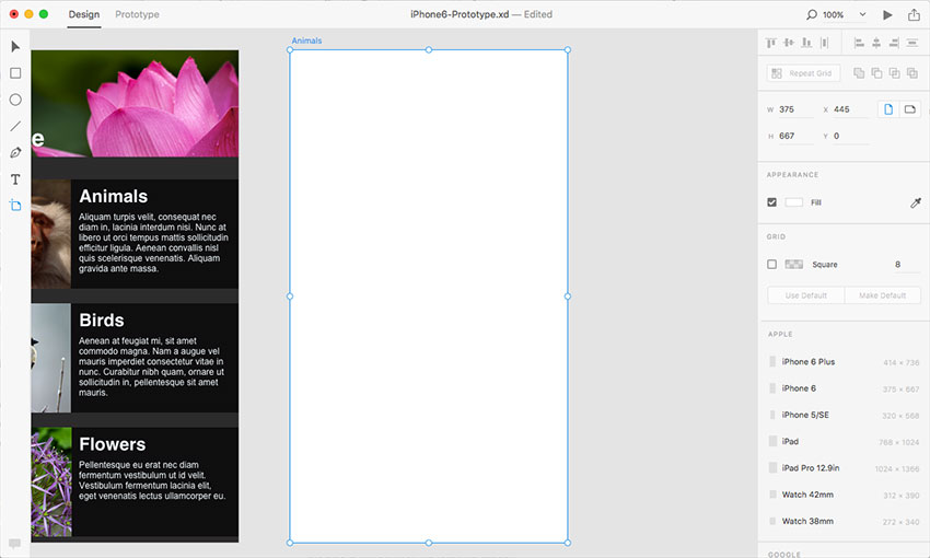The Ultimate Guide To Adobe XD Tutorials From Beginner To Expert The Ultimate Guide To Adobe XD Tutorials From Beginner To Expert