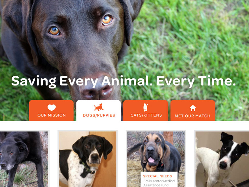 Free Design Materials – 35 Awesome Pet & Animal Website Designs for ...